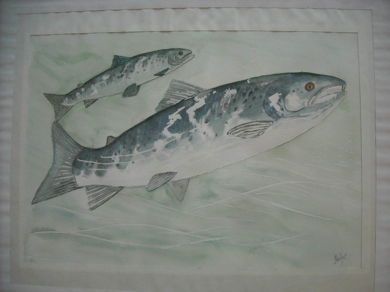 Eurocottage, Self-catering cottages Ireland, Castlebar, Pontoon ...